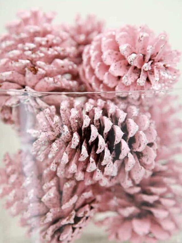 The PRO Way To Paint Pine Cones - shabbyfufu.com