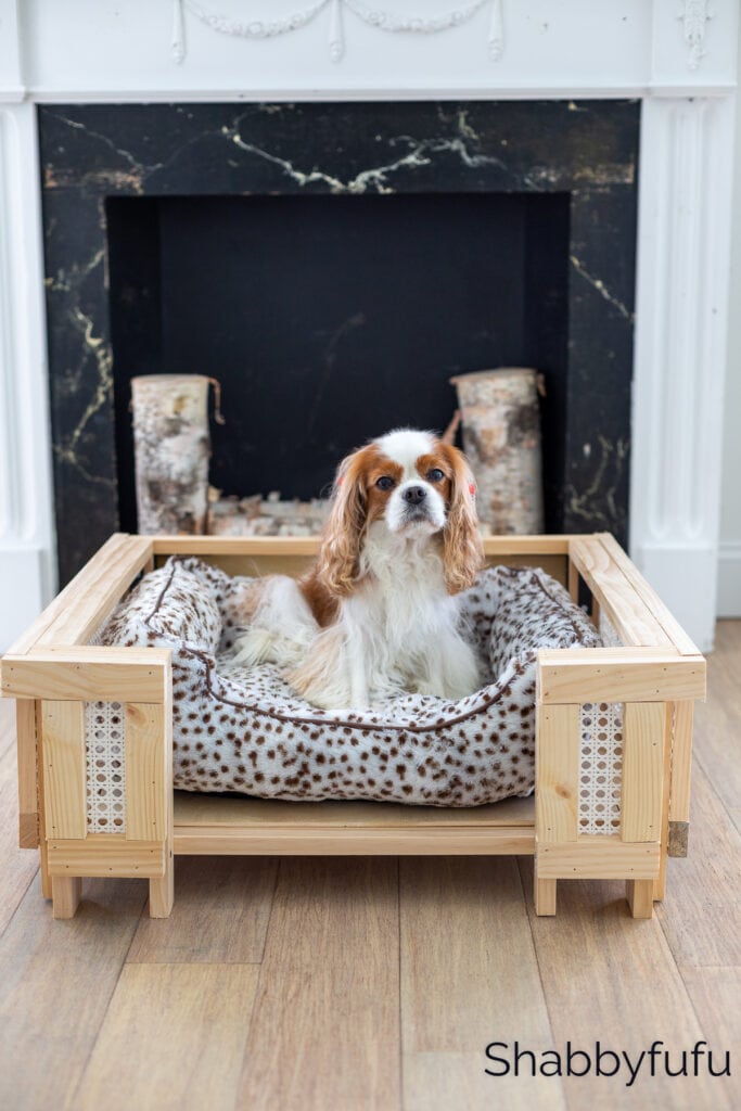 Modern Dog Bed DIY - shabbyfufu.com