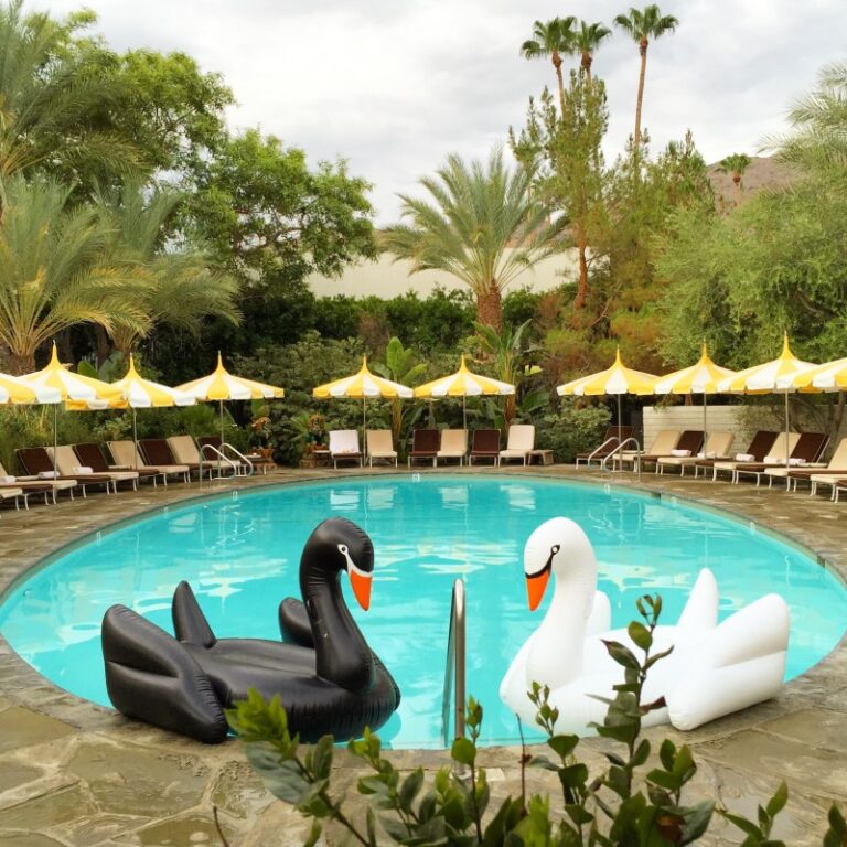 Blissful Retreat: 23+ Budget-Friendly Pool and Patio Must-Haves for ...