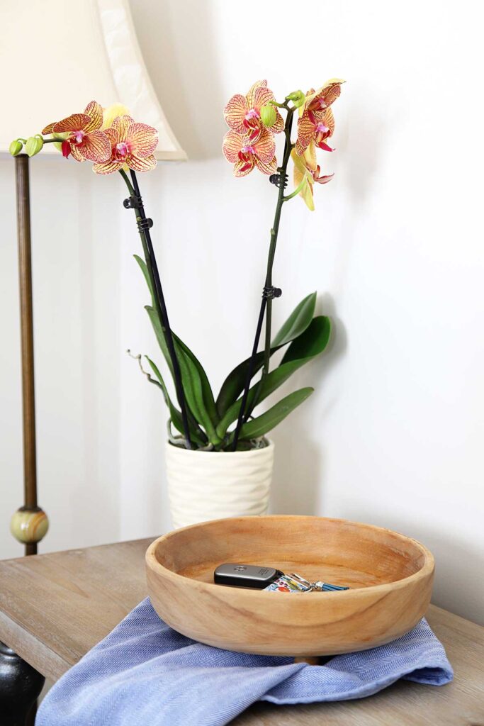 12 Charming DIY Cottagecore Decor Projects to Try